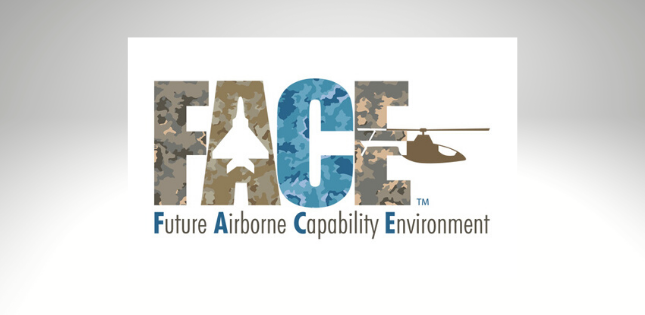 Setting the Standard: Celebrating the First 10 Years of the FACE ...